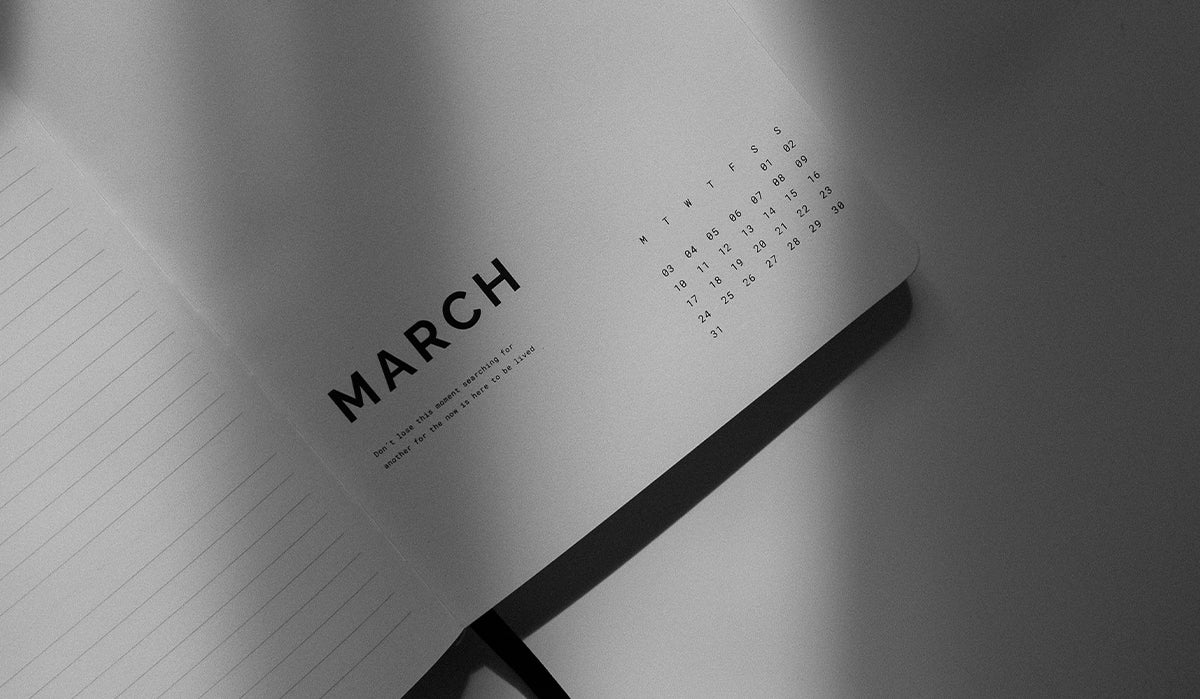 DEAR JOE – DEAR JOE STORE